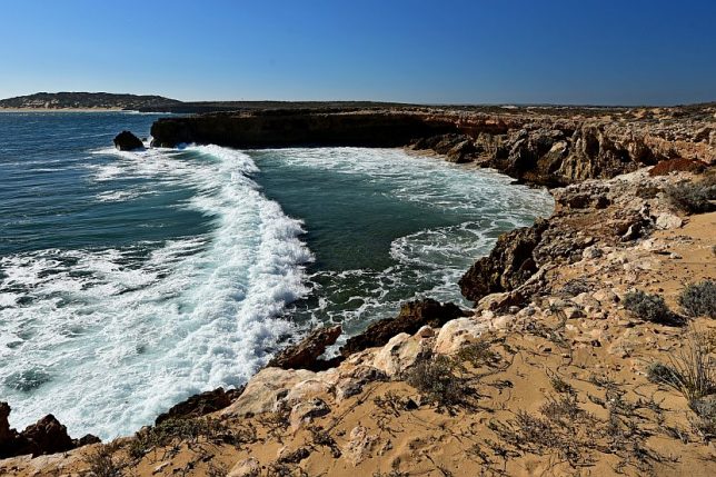 【南澳西澳十日遊Day 2 - 3】南澳艾爾半島Venus Bay、Baird Bay & Sceale Bay