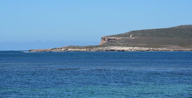 【南澳西澳十日遊Day 2 - 3】南澳艾爾半島Venus Bay、Baird Bay & Sceale Bay